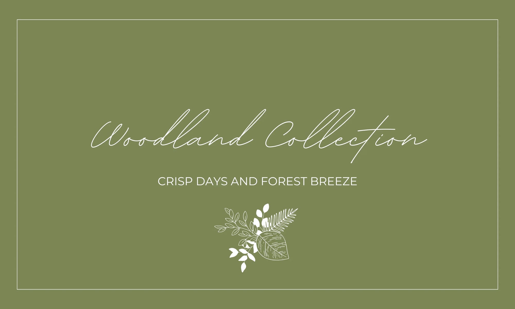 Meet the Woodland Collection | Insights & Inspiration from JessaKae
